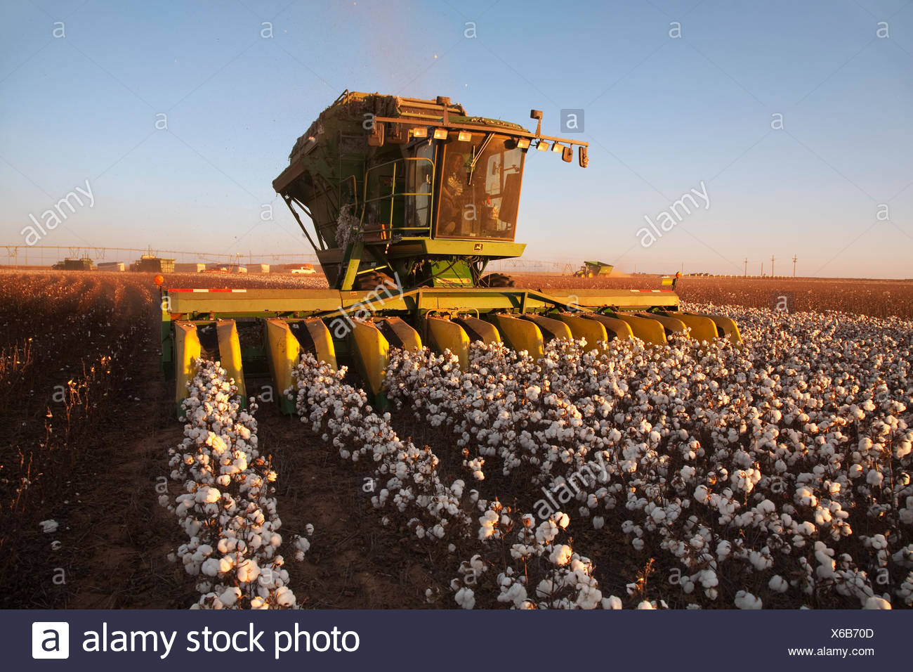 Cotton Stripper Stock Photos & Cotton Stripper Stock Images - Alamy