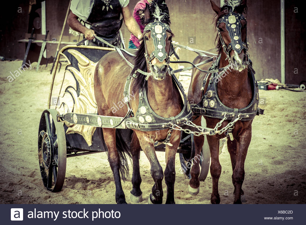 Roman Chariot Race Jordan High Resolution Stock Photography and Images ...