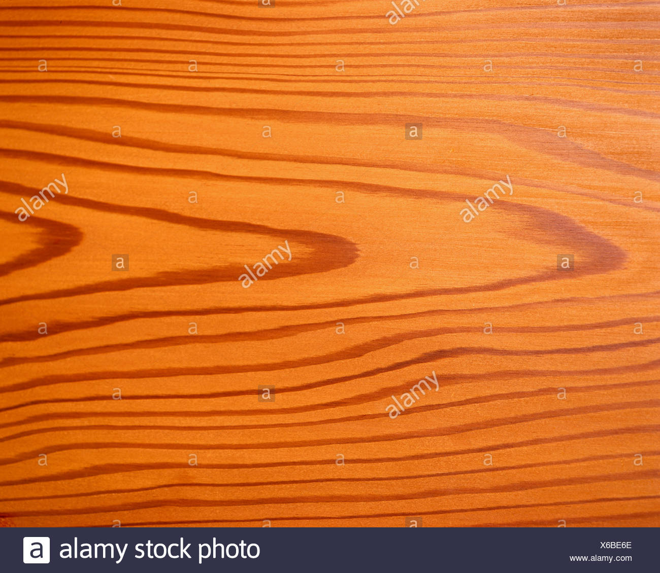 See Wood Structure High Resolution Stock Photography and Images - Alamy