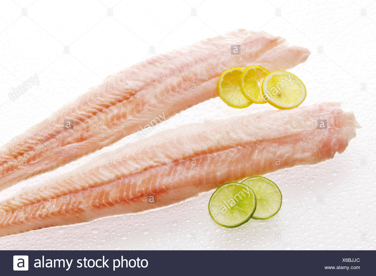 Loach Fish Stock Photos & Loach Fish Stock Images - Alamy