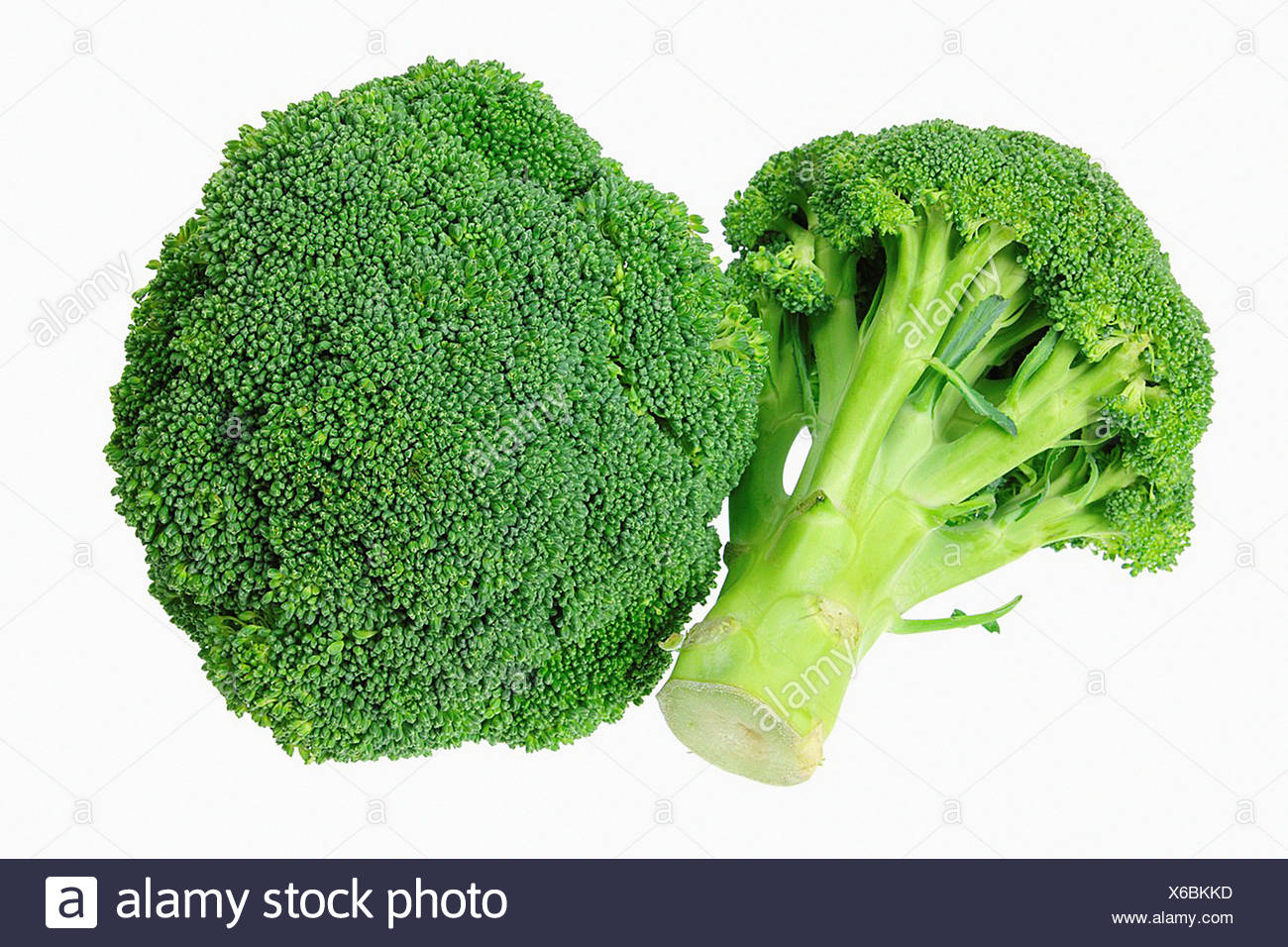 Broccoli Cut Out Stock Photos & Broccoli Cut Out Stock Images - Alamy