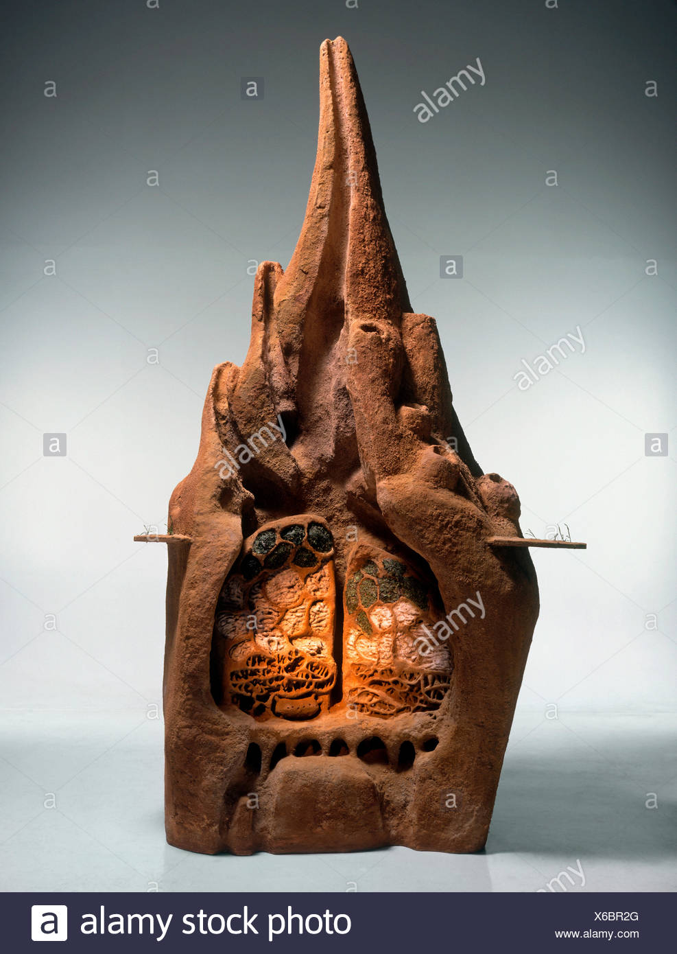 Nest Cross Section High Resolution Stock Photography and Images - Alamy