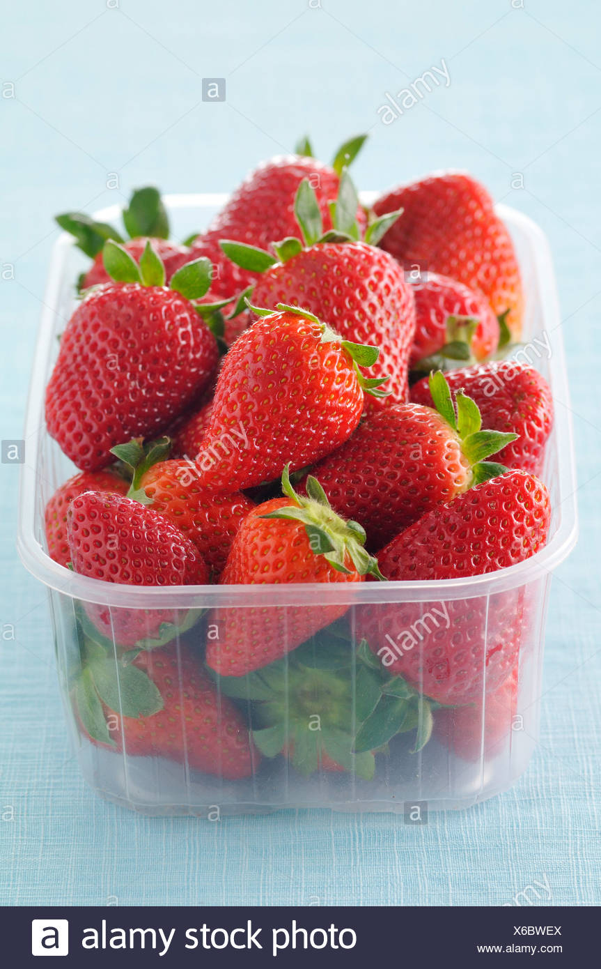 Punnet High Resolution Stock Photography and Images - Alamy