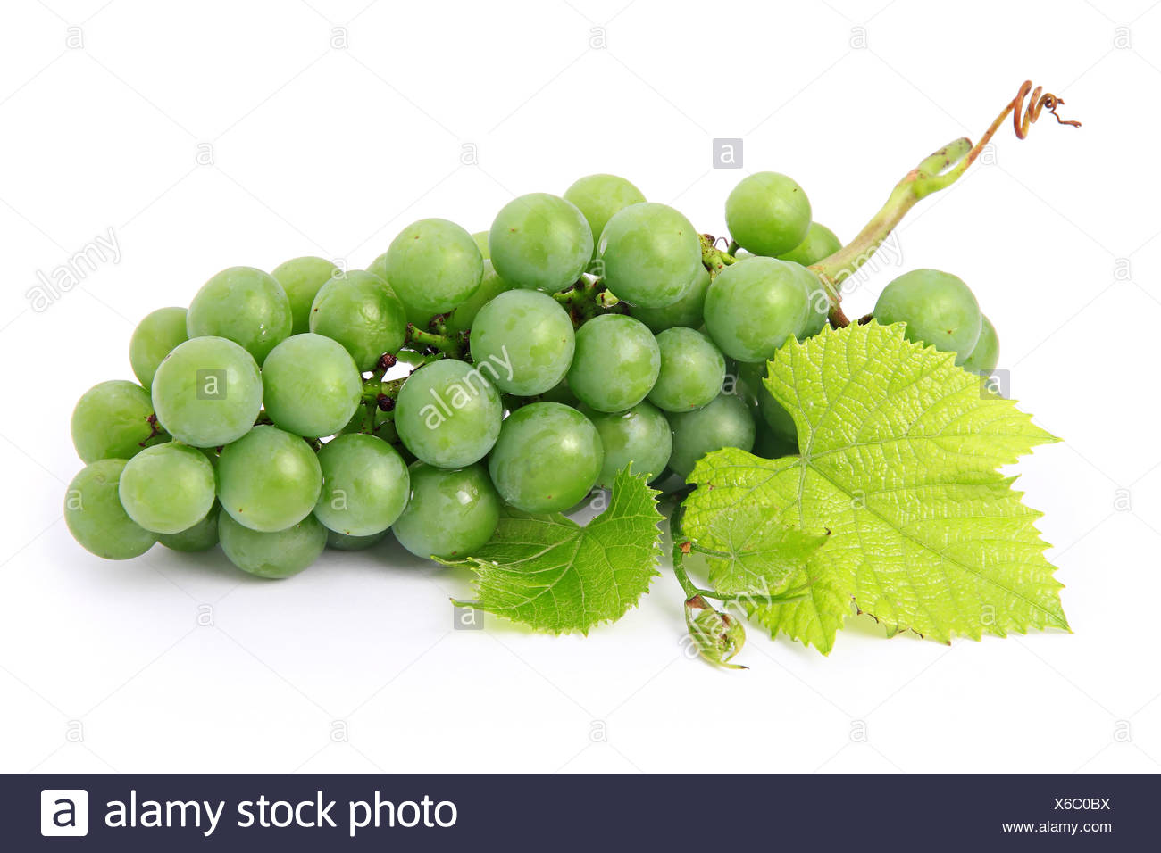 Grape High Resolution Stock Photography and Images - Alamy