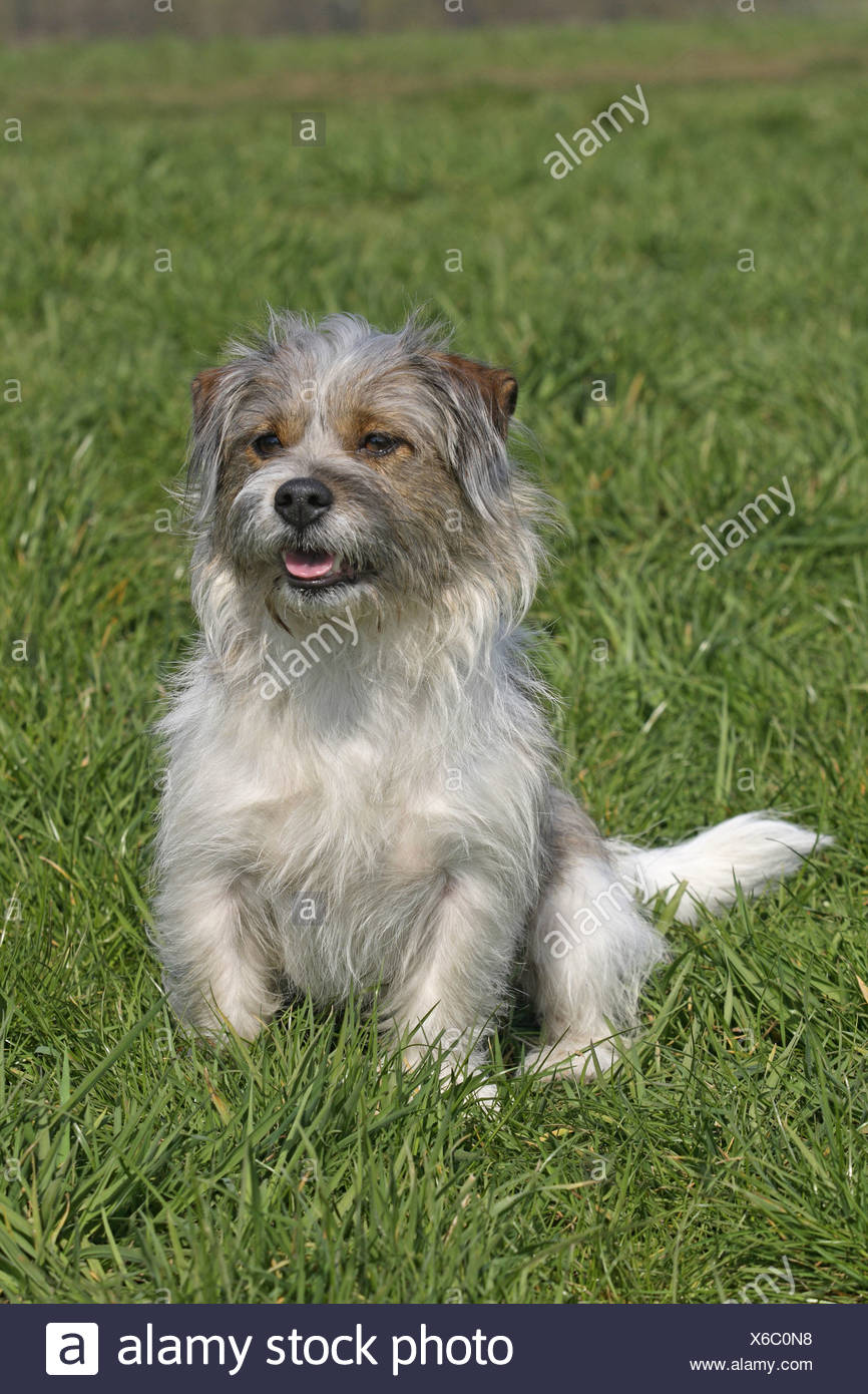 Jack Tzu High Resolution Stock Photography and Images - Alamy