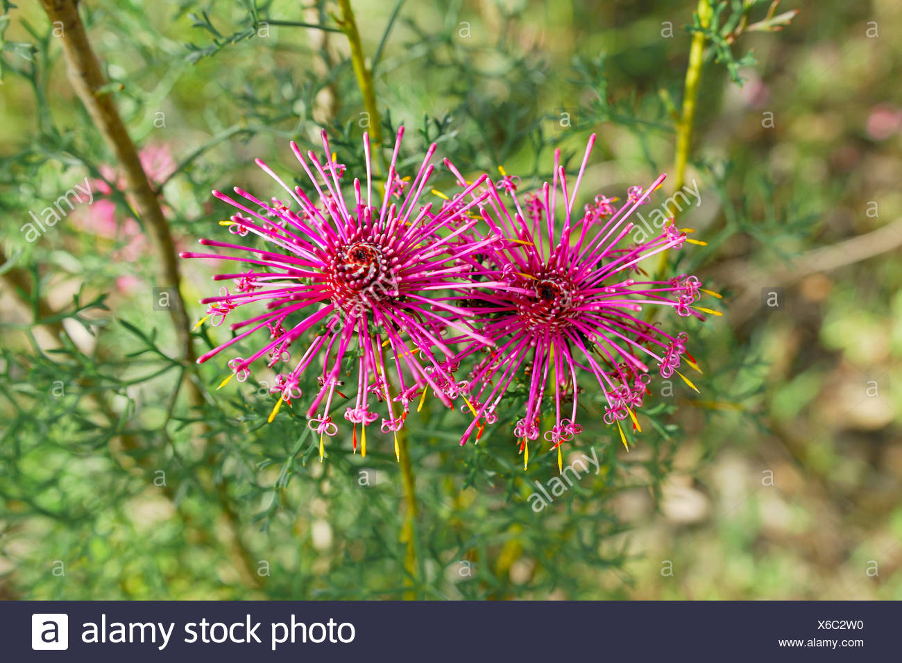 Ambergate Stock Photos & Ambergate Stock Images - Alamy