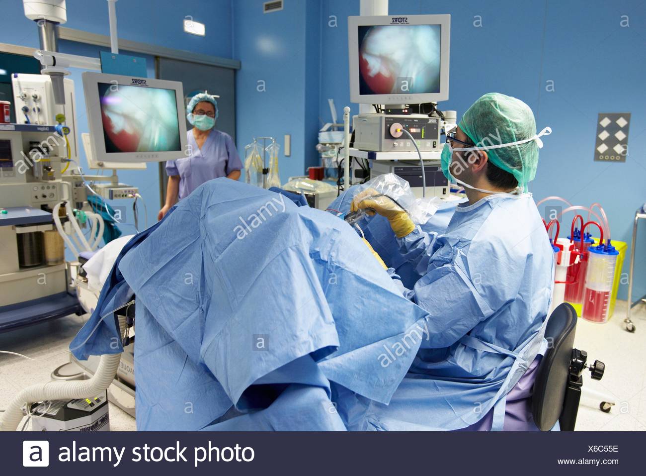 Turp Stock Photos & Turp Stock Images - Alamy