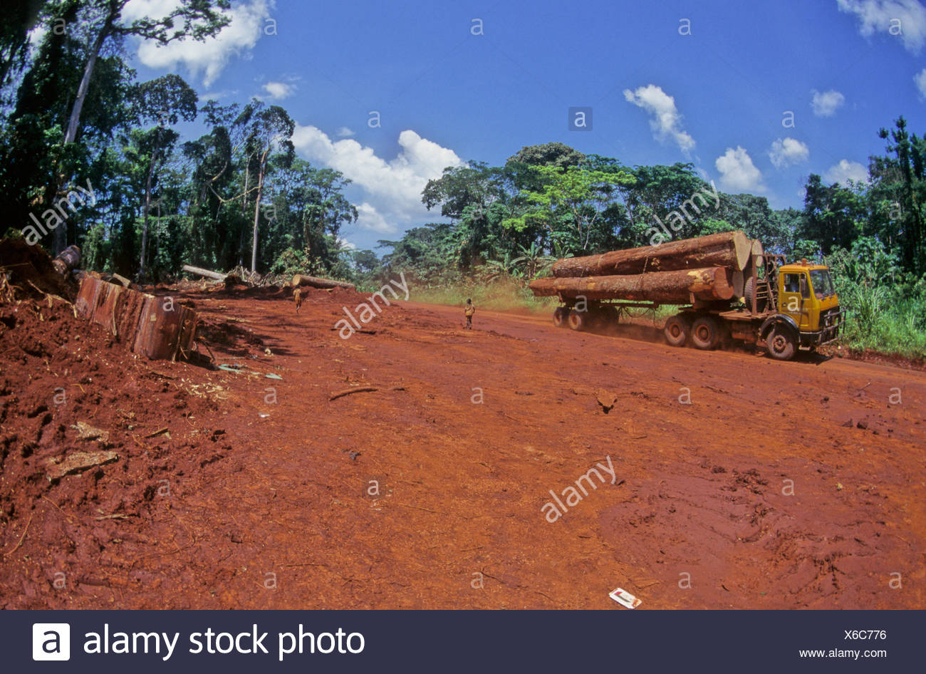 Logging Road High Resolution Stock Photography and Images - Alamy