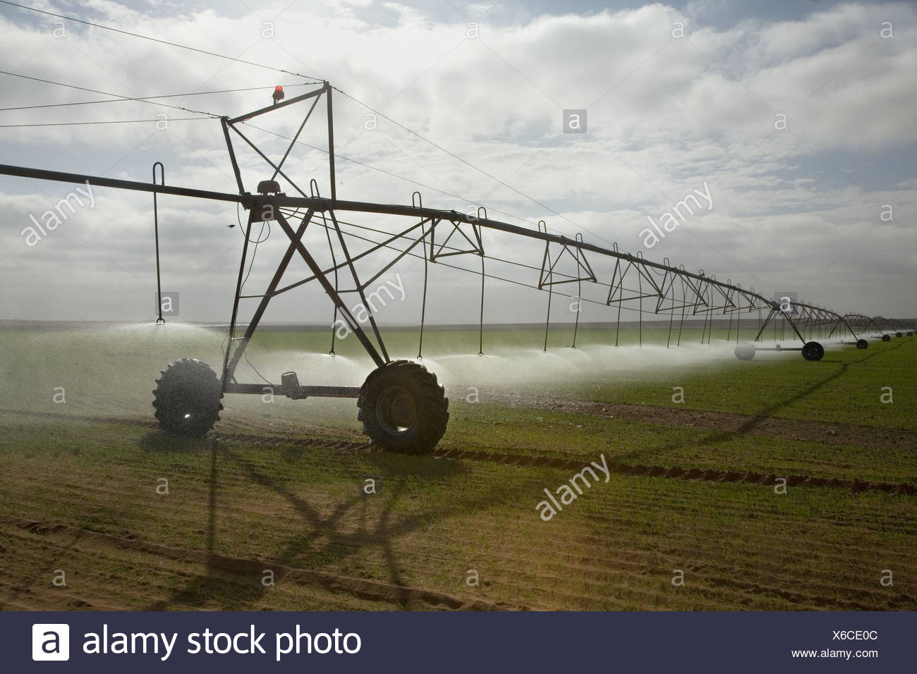 Algeria Agriculture High Resolution Stock Photography and Images - Alamy