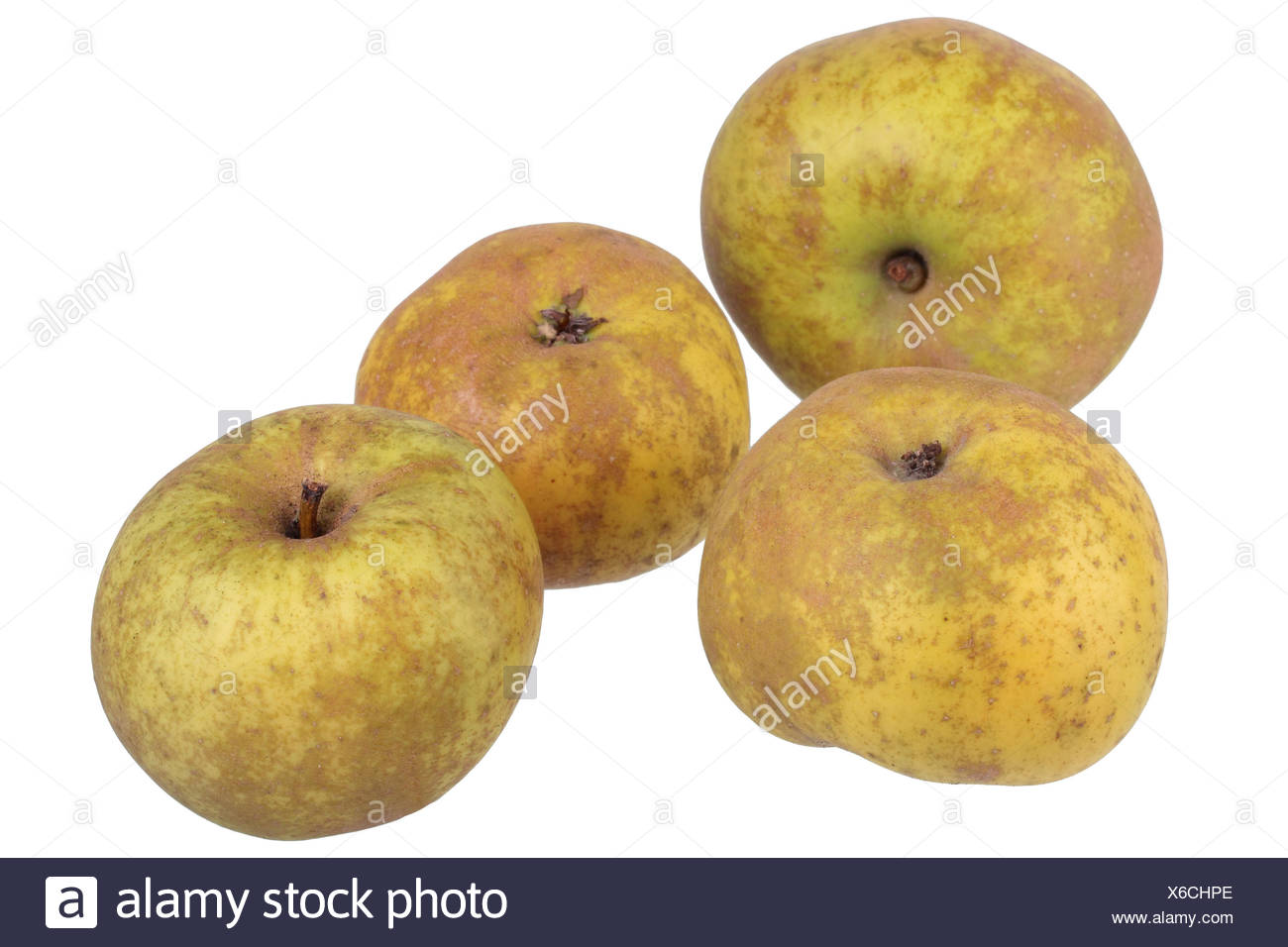 Canada Apple High Resolution Stock Photography and Images - Alamy