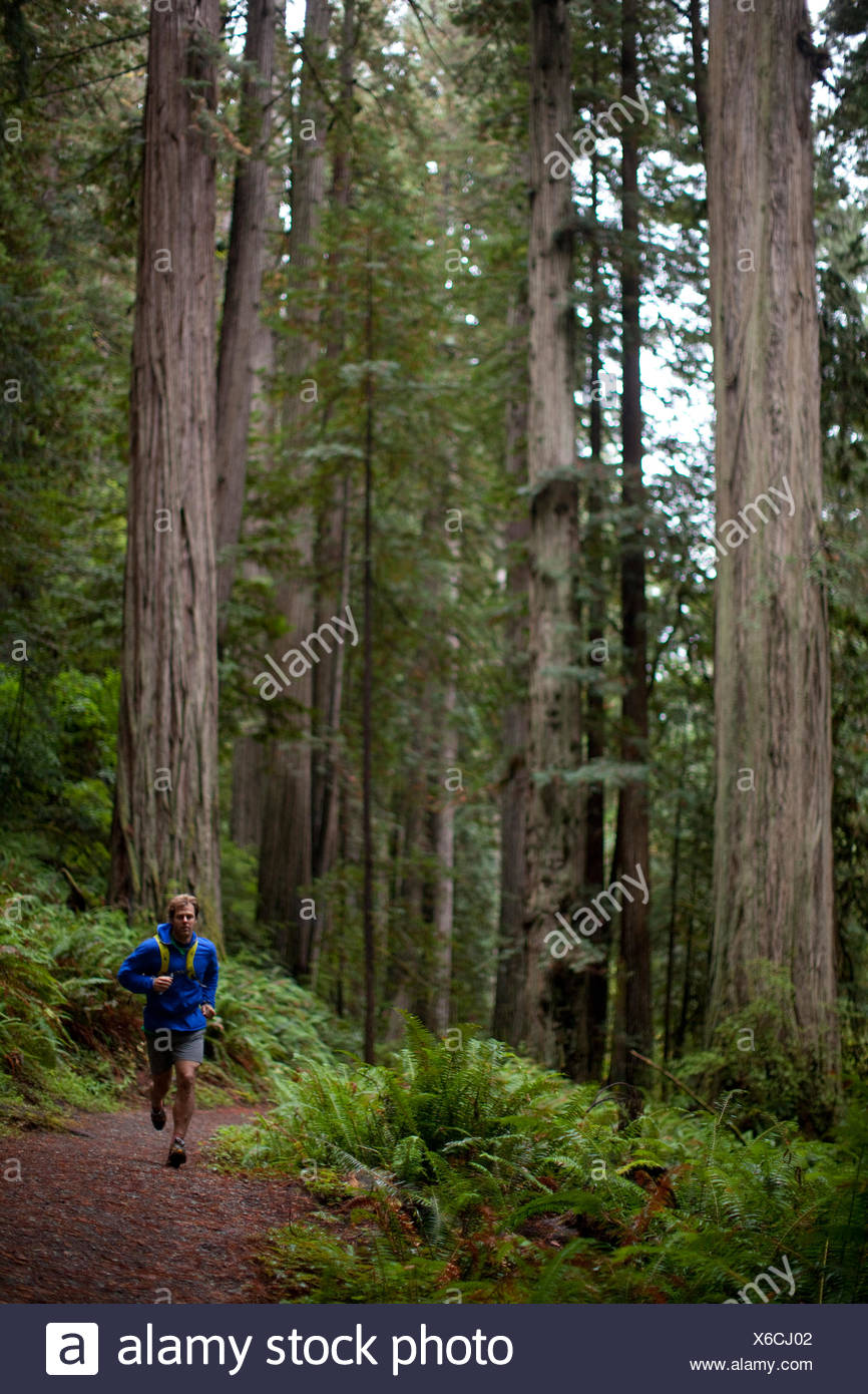 Big Trees Trail Stock Photos & Big Trees Trail Stock Images - Alamy