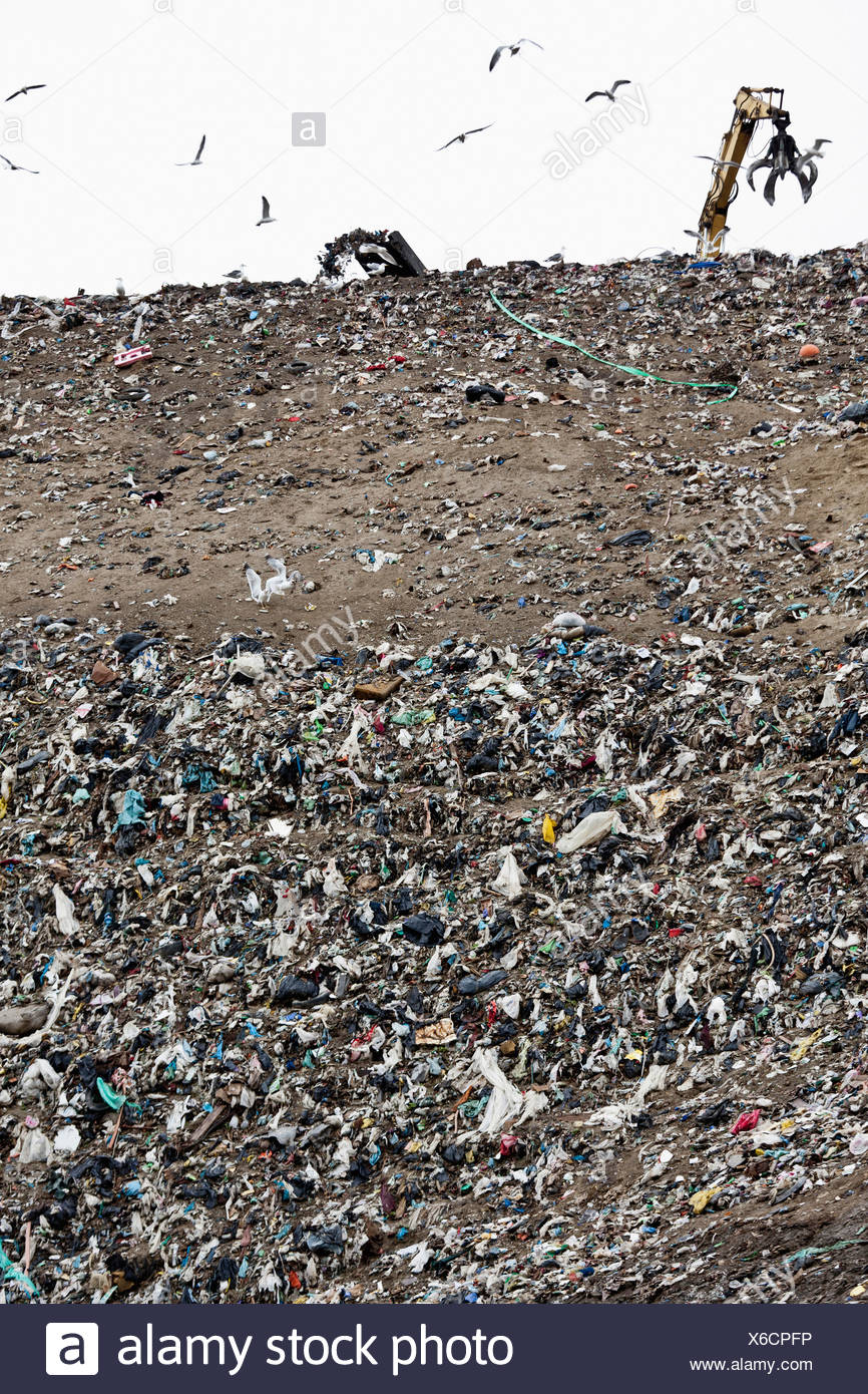 Animals With Garbage High Resolution Stock Photography and Images - Alamy