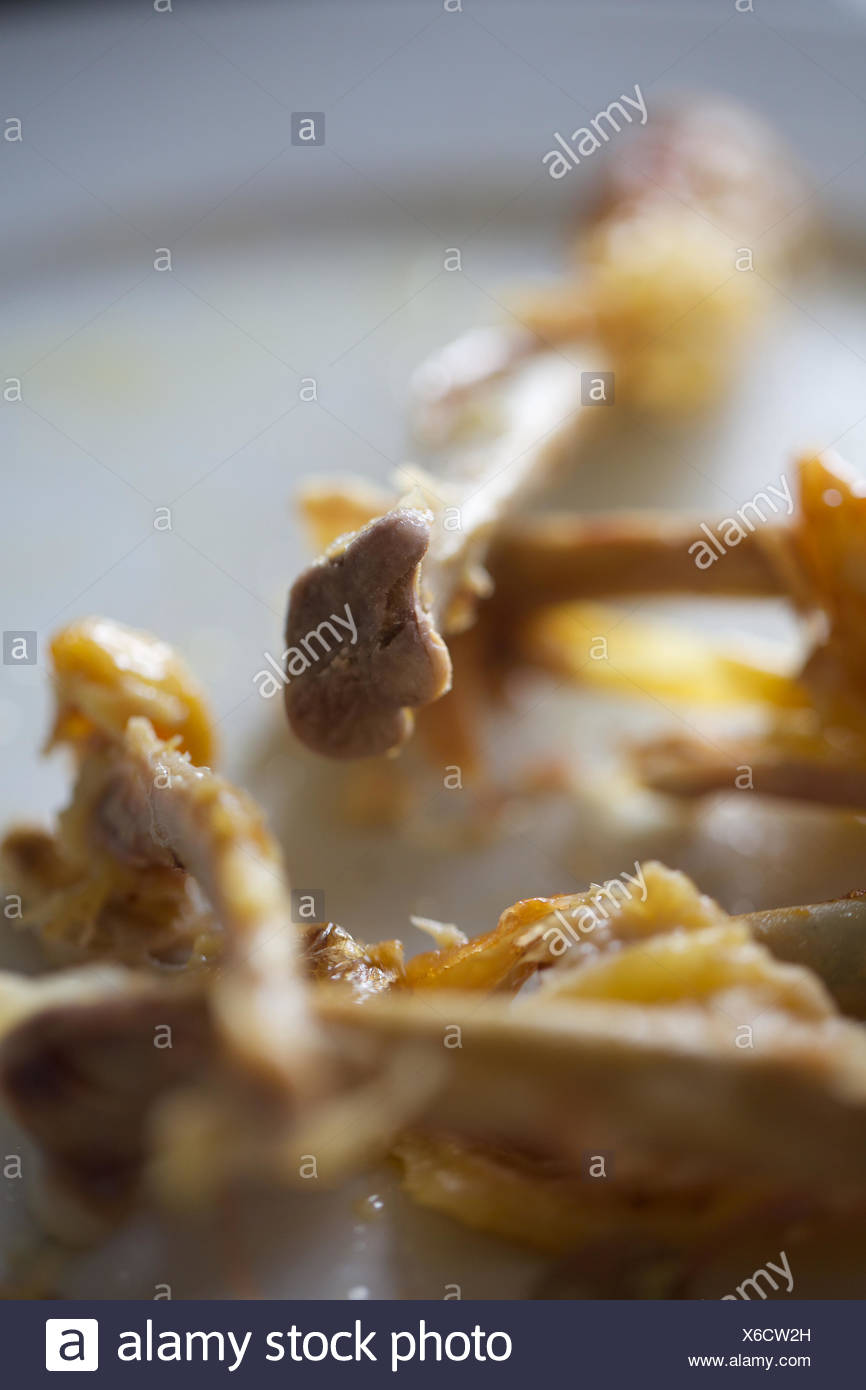 Bone Meal Waste Stock Photos & Bone Meal Waste Stock Images - Alamy