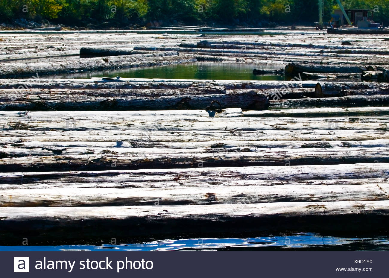 Logs Floating In Water High Resolution Stock Photography and Images - Alamy
