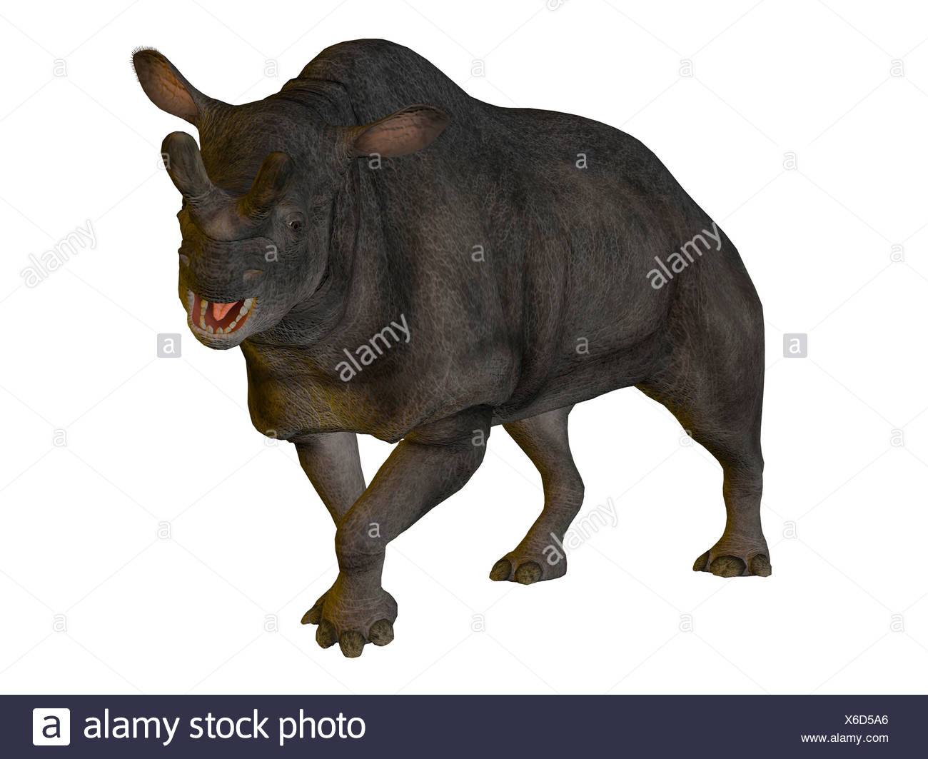 Brontotherium High Resolution Stock Photography and Images - Alamy