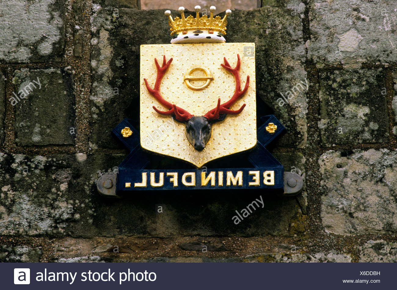Medieval Coat Arms High Resolution Stock Photography and Images - Alamy