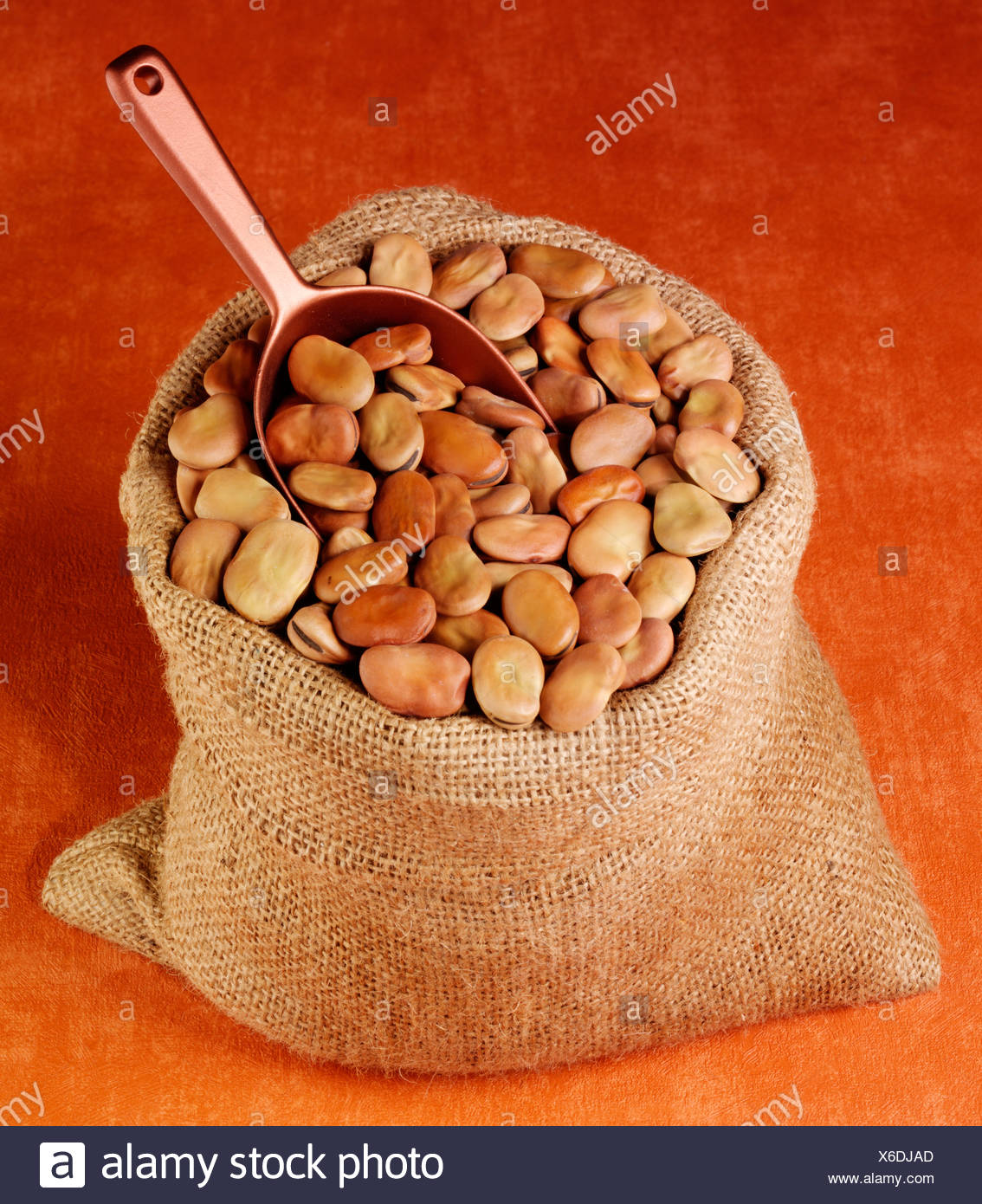 Haba Bean High Resolution Stock Photography and Images - Alamy