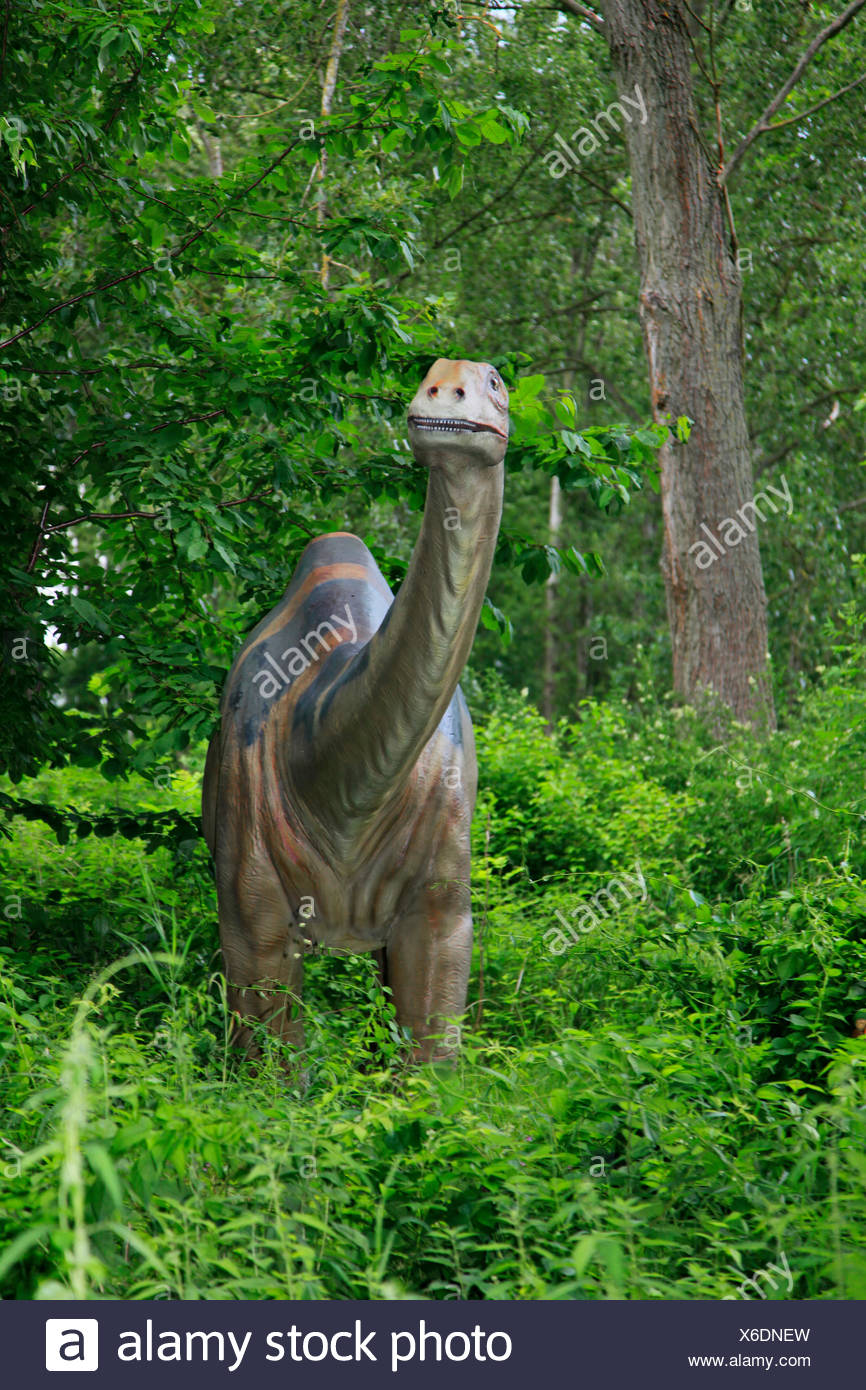 Dinosaur Tree Dinosaurs High Resolution Stock Photography and Images ...