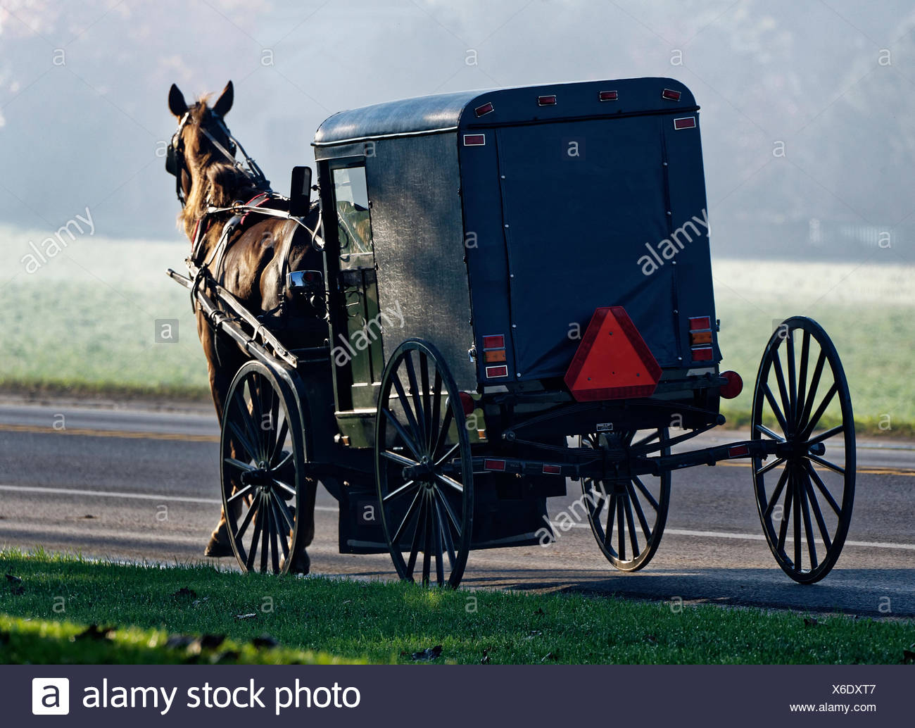 Amish Buggy Stock Photos & Amish Buggy Stock Images - Alamy