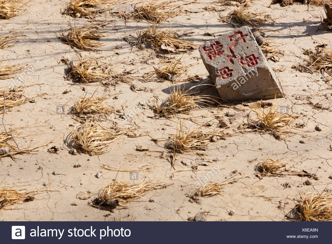 Crop Crops Dead Dry High Resolution Stock Photography and Images - Alamy