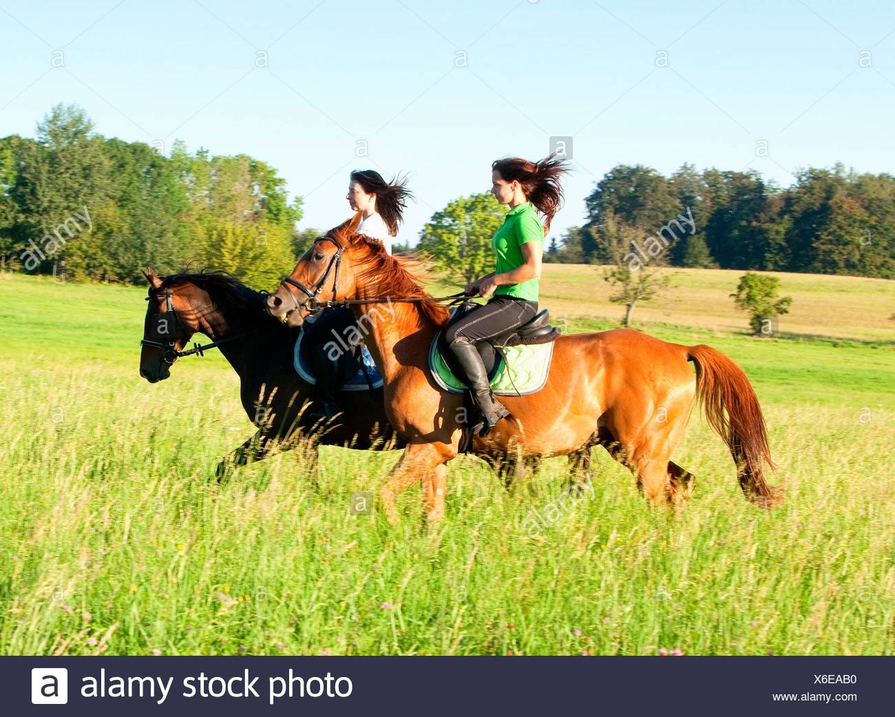 Women Riding Horseback Rider Stock Photos & Women Riding Horseback ...