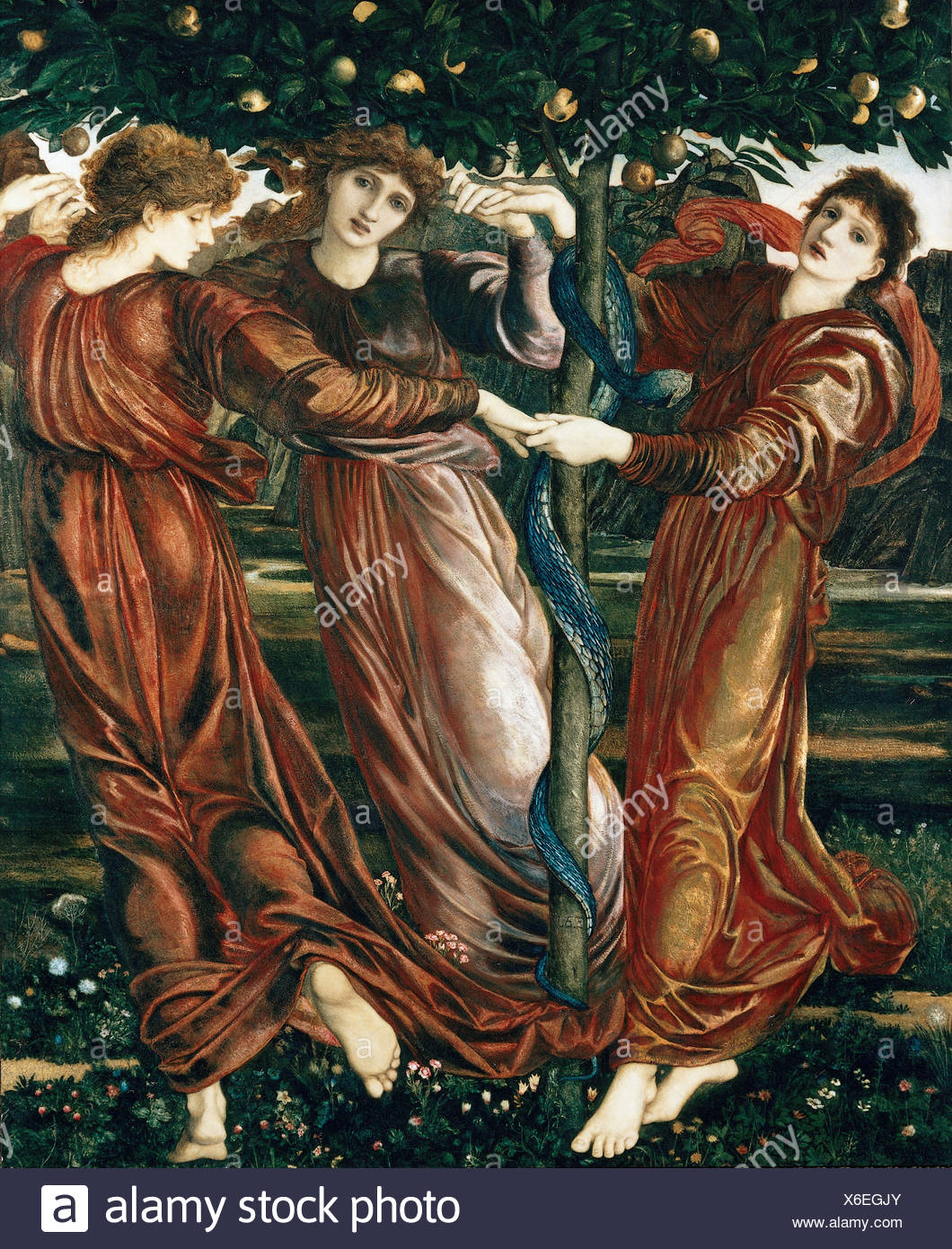 Hesperides And Apples High Resolution Stock Photography and Images - Alamy