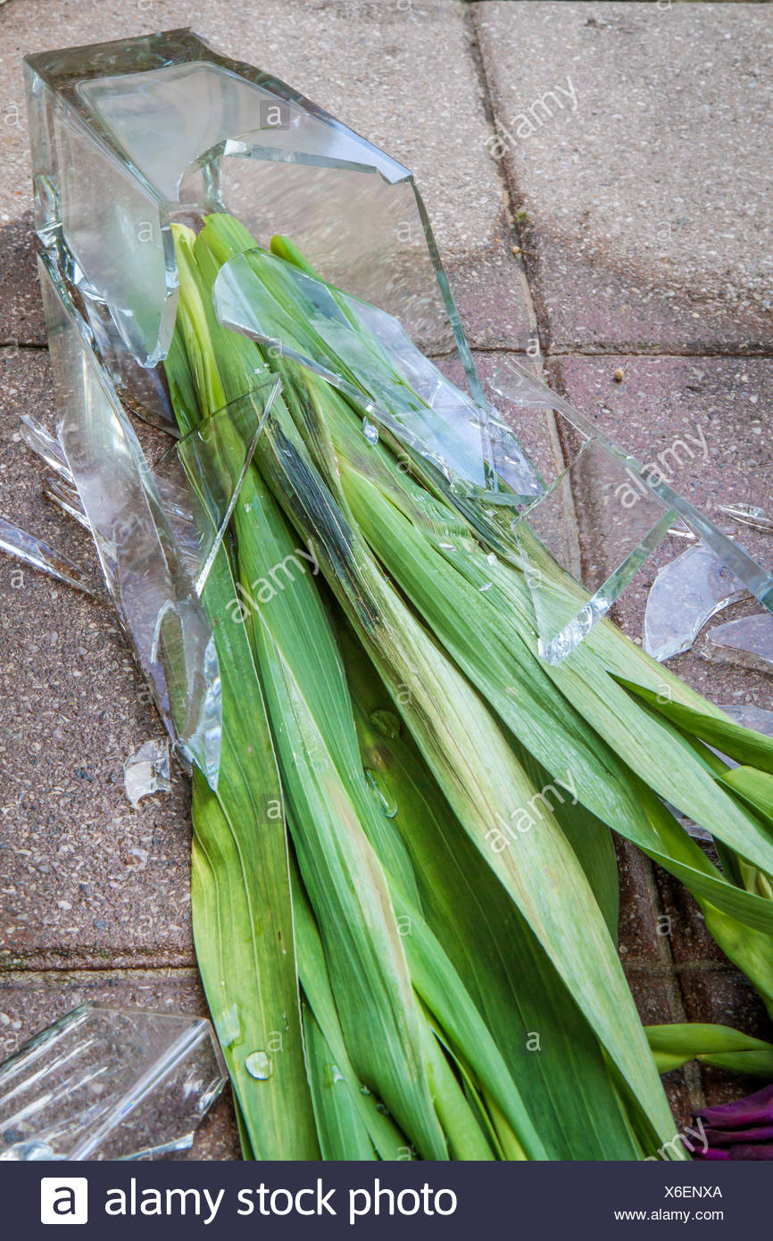 Broken Vase Broken High Resolution Stock Photography and Images - Alamy