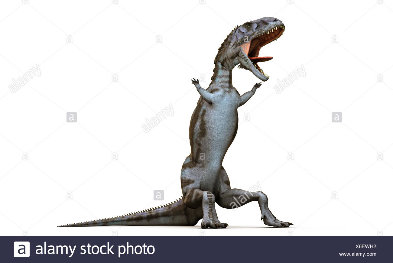 Majungasaurus Dinosaur High Resolution Stock Photography and Images - Alamy