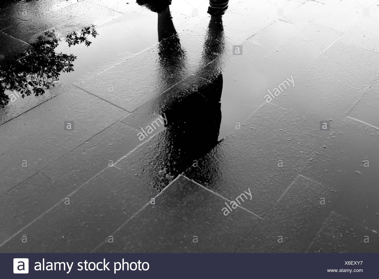 Puddle Reflection Stock Photos & Puddle Reflection Stock Images - Alamy