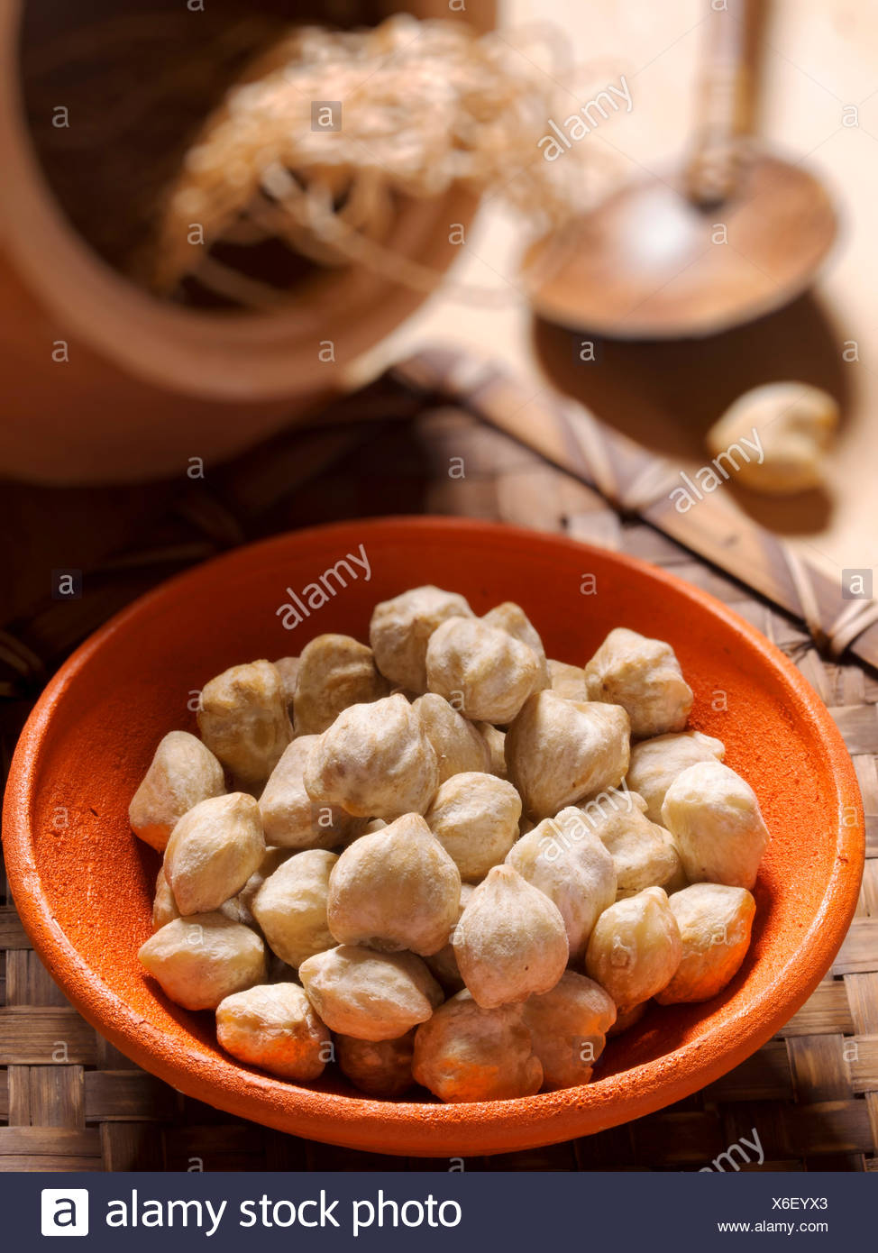 Candlenut Stock Photos & Candlenut Stock Images - Alamy