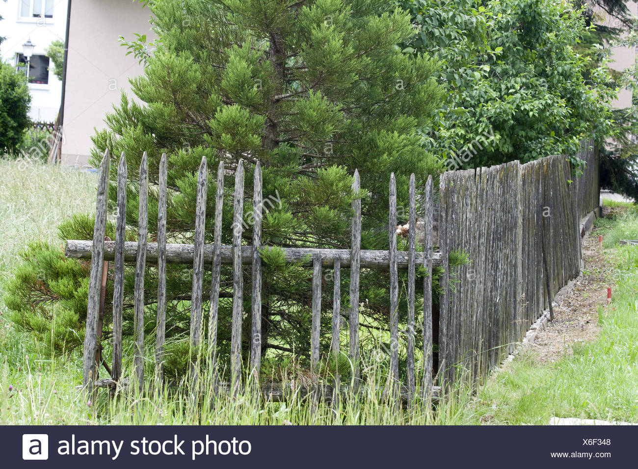 Stockade Fence High Resolution Stock Photography and Images - Alamy