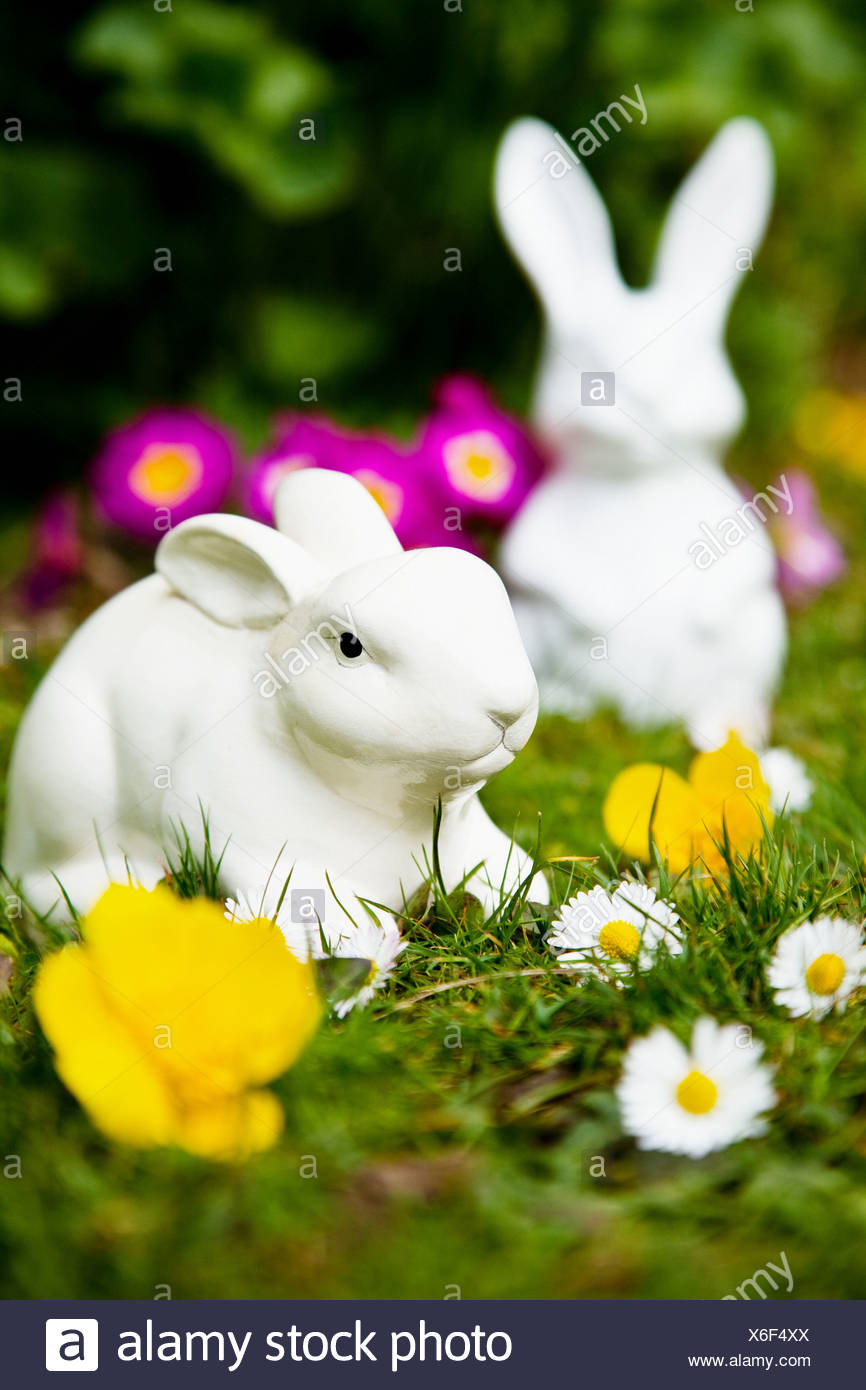 Easter Bunnies Stock Photos & Easter Bunnies Stock Images - Alamy