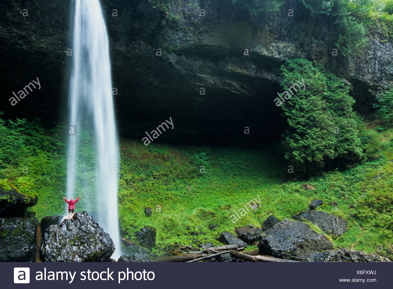 Silver Falls State Park Water High Resolution Stock Photography and ...
