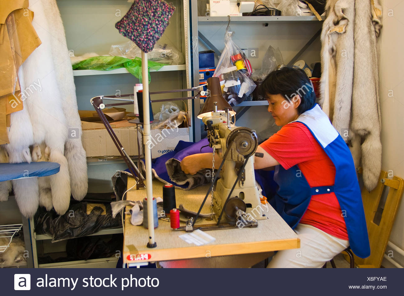 Inuit With A Seal High Resolution Stock Photography and Images - Alamy