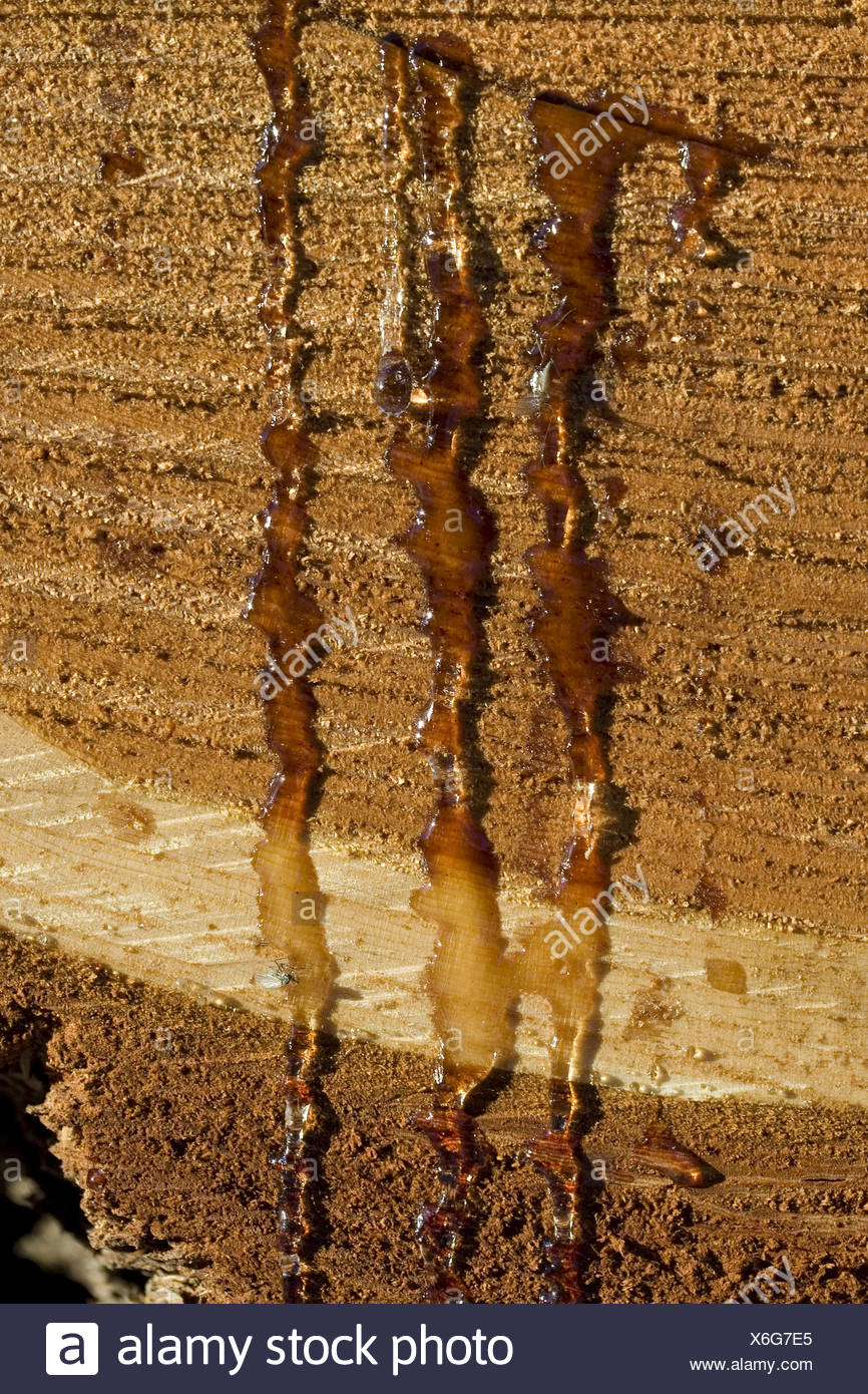 Hemorrhage Stock Photos & Hemorrhage Stock Images - Alamy