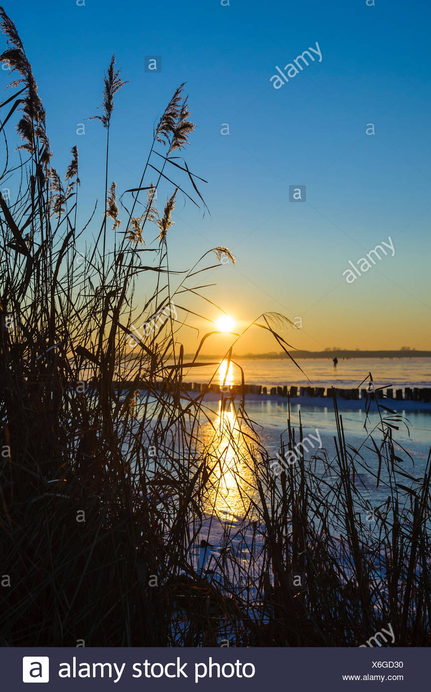 Lake Dummer High Resolution Stock Photography and Images - Alamy