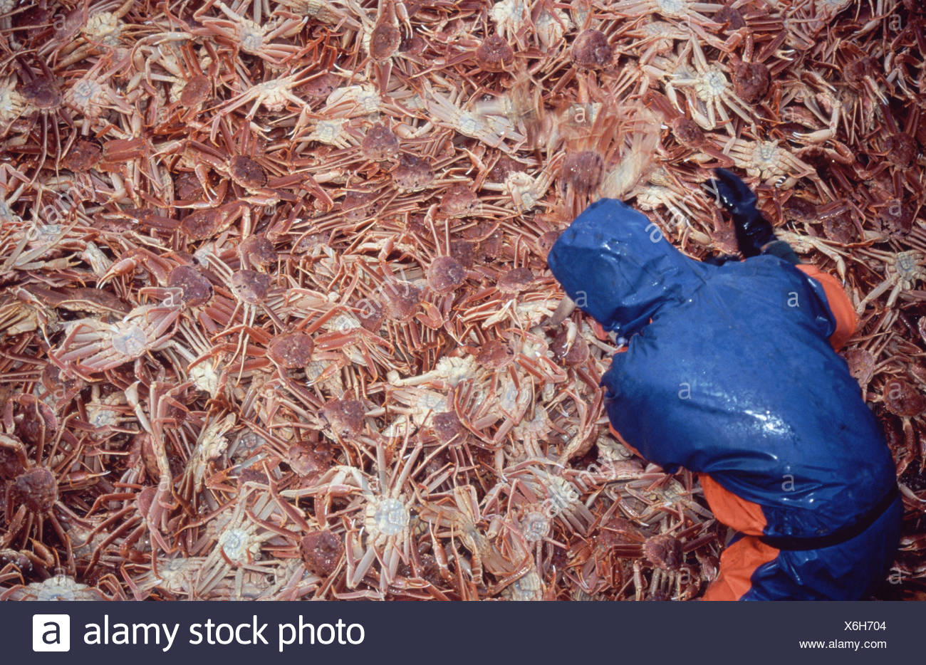 Bering Sea Crab Fishing High Resolution Stock Photography and Images ...