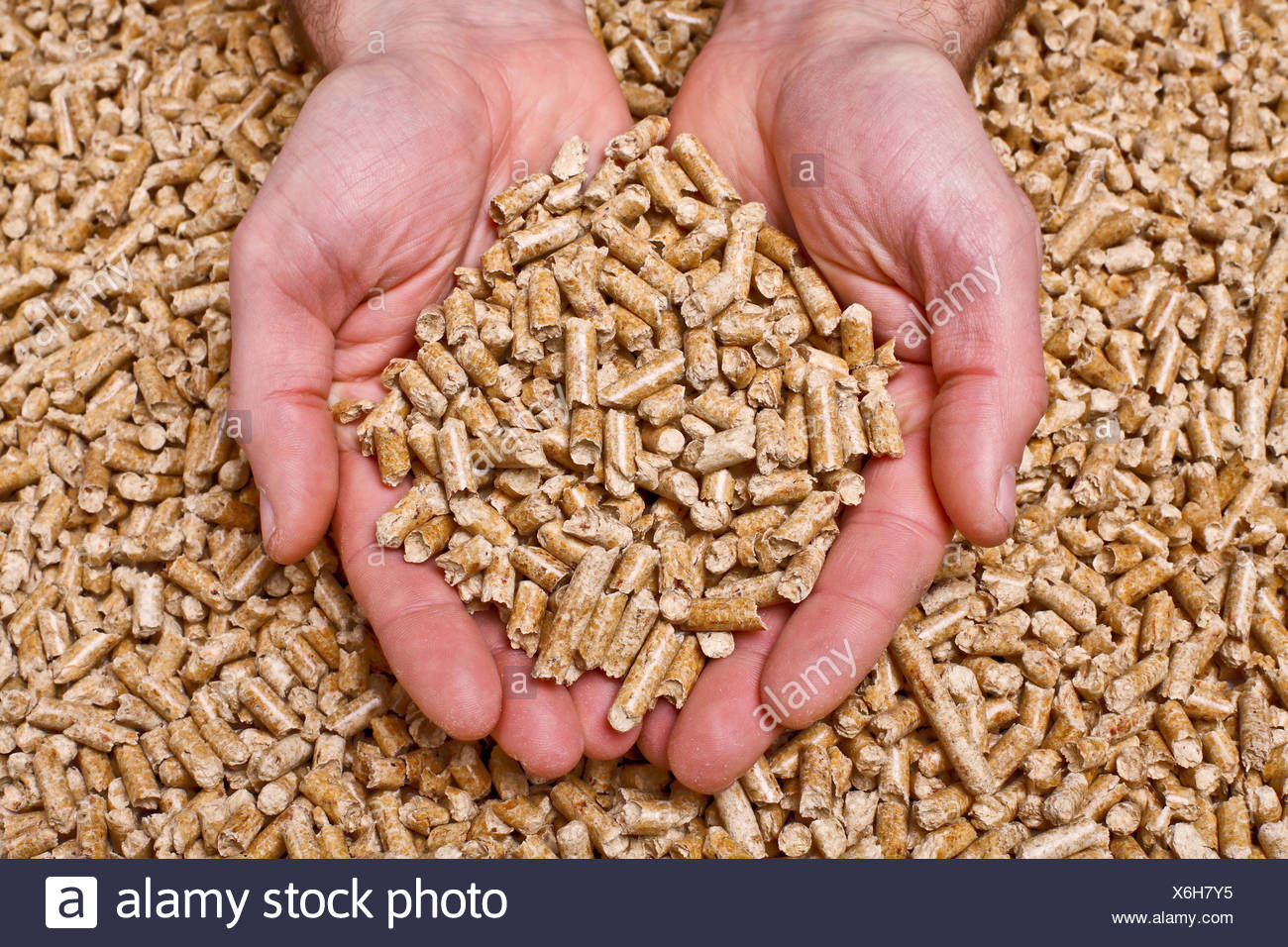 Wood Pellet High Resolution Stock Photography and Images - Alamy