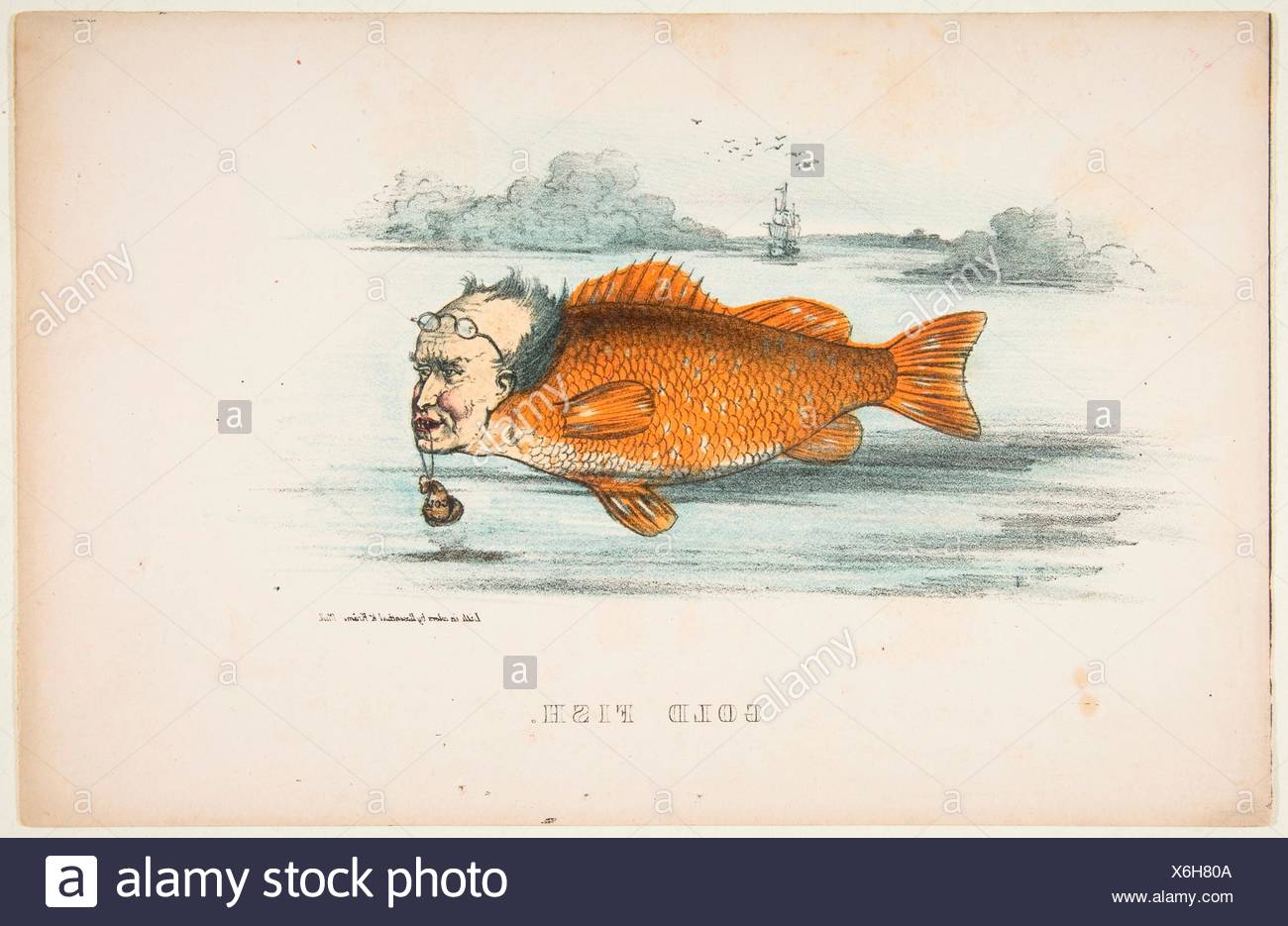Henry The Fish High Resolution Stock Photography and Images - Alamy
