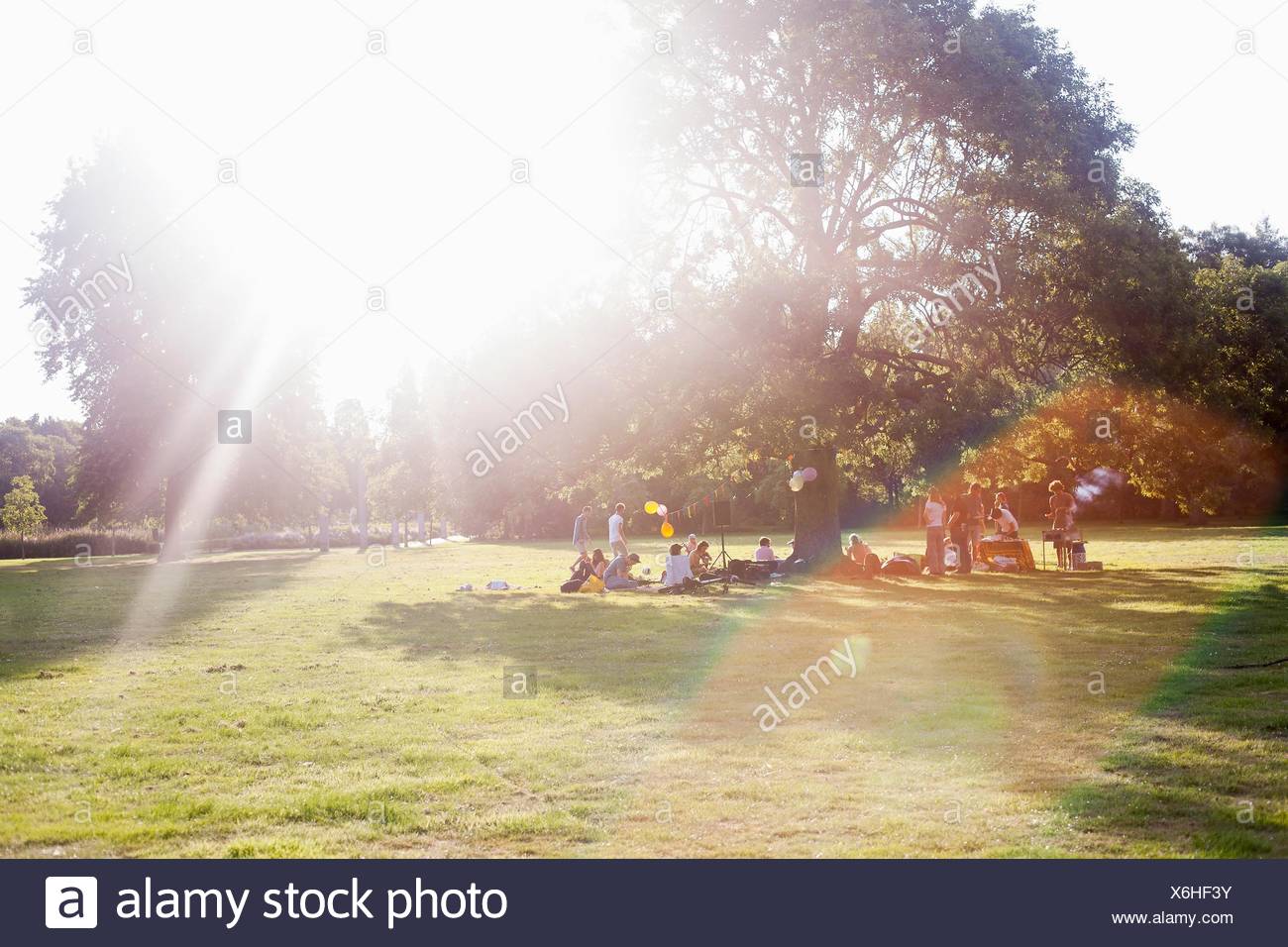 Group People Sitting Under Tree High Resolution Stock Photography and ...