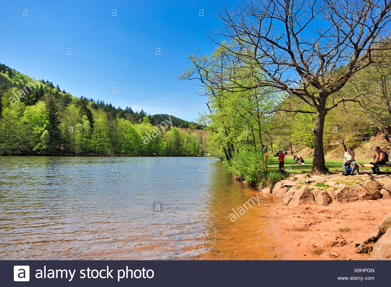 Erlenbach High Resolution Stock Photography and Images - Alamy