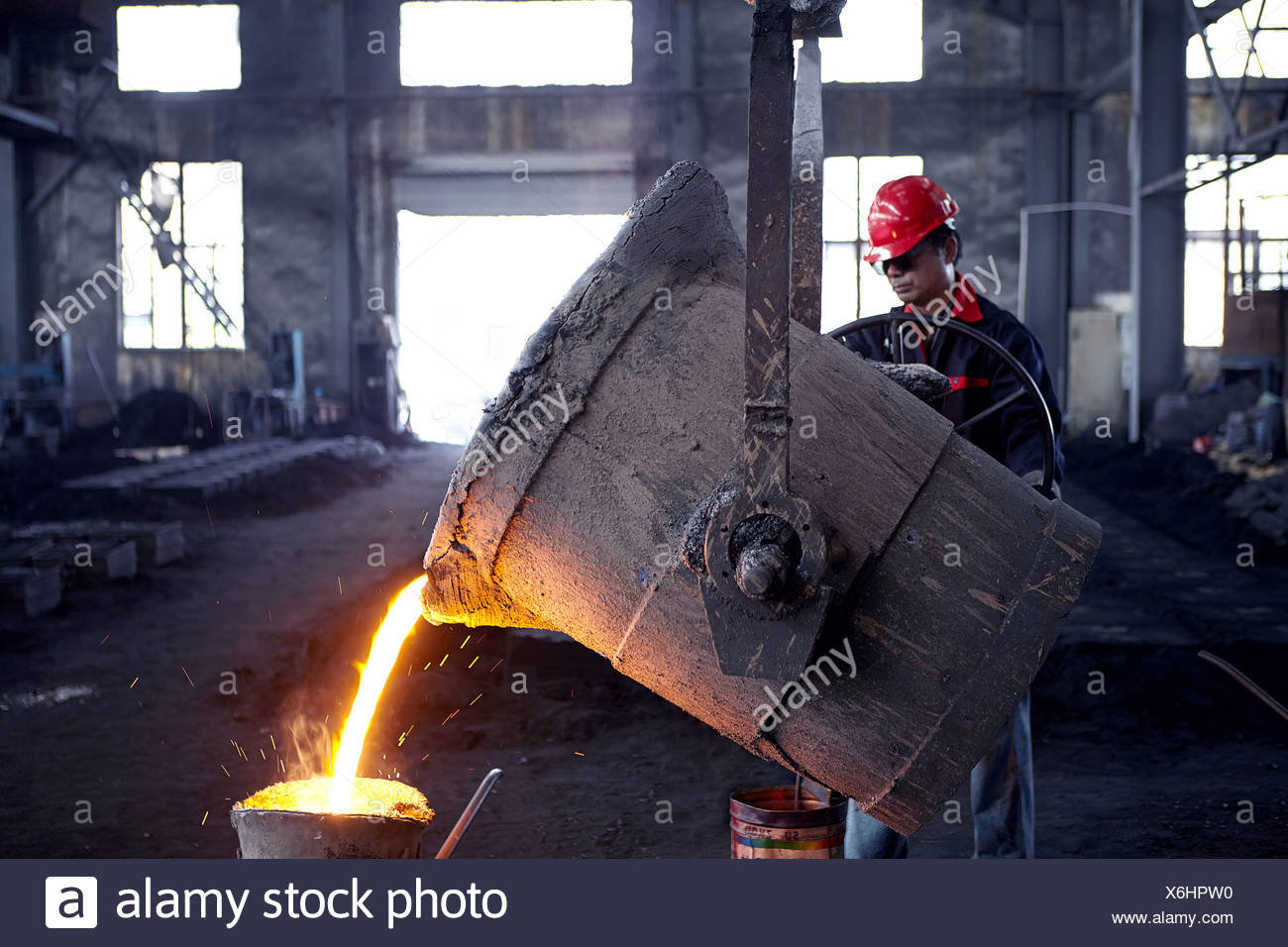 Cast Iron Plant High Resolution Stock Photography and Images - Alamy