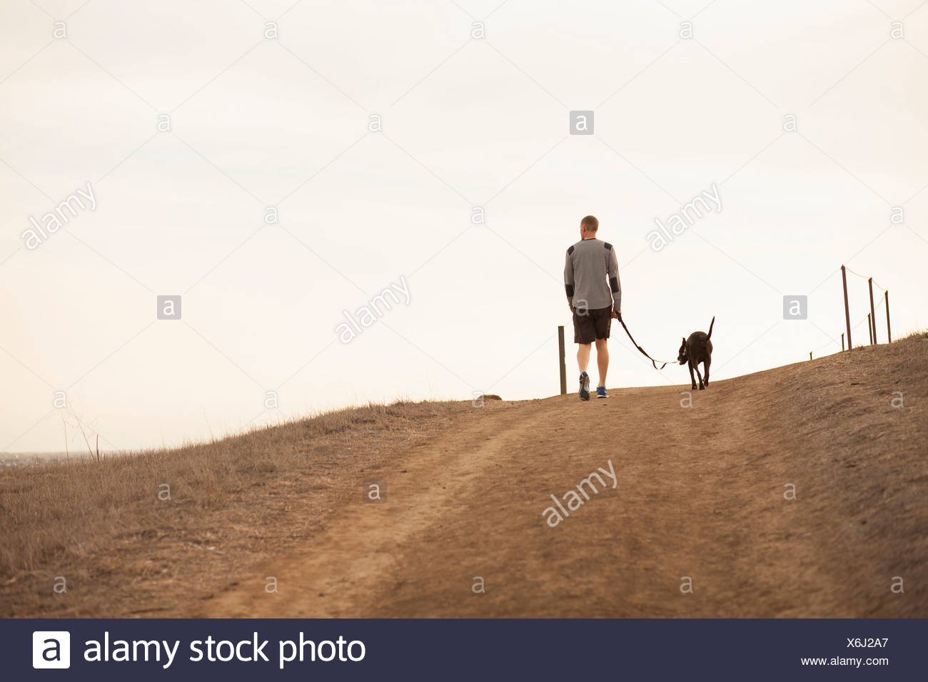 Man Walking Dog Grass High Resolution Stock Photography and Images - Alamy