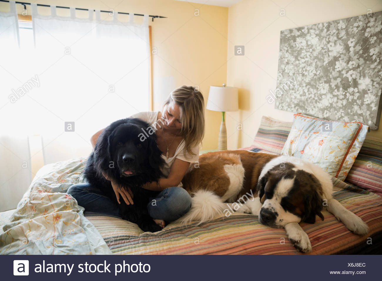 Cuddling Animals Stock Photos & Cuddling Animals Stock Images - Alamy