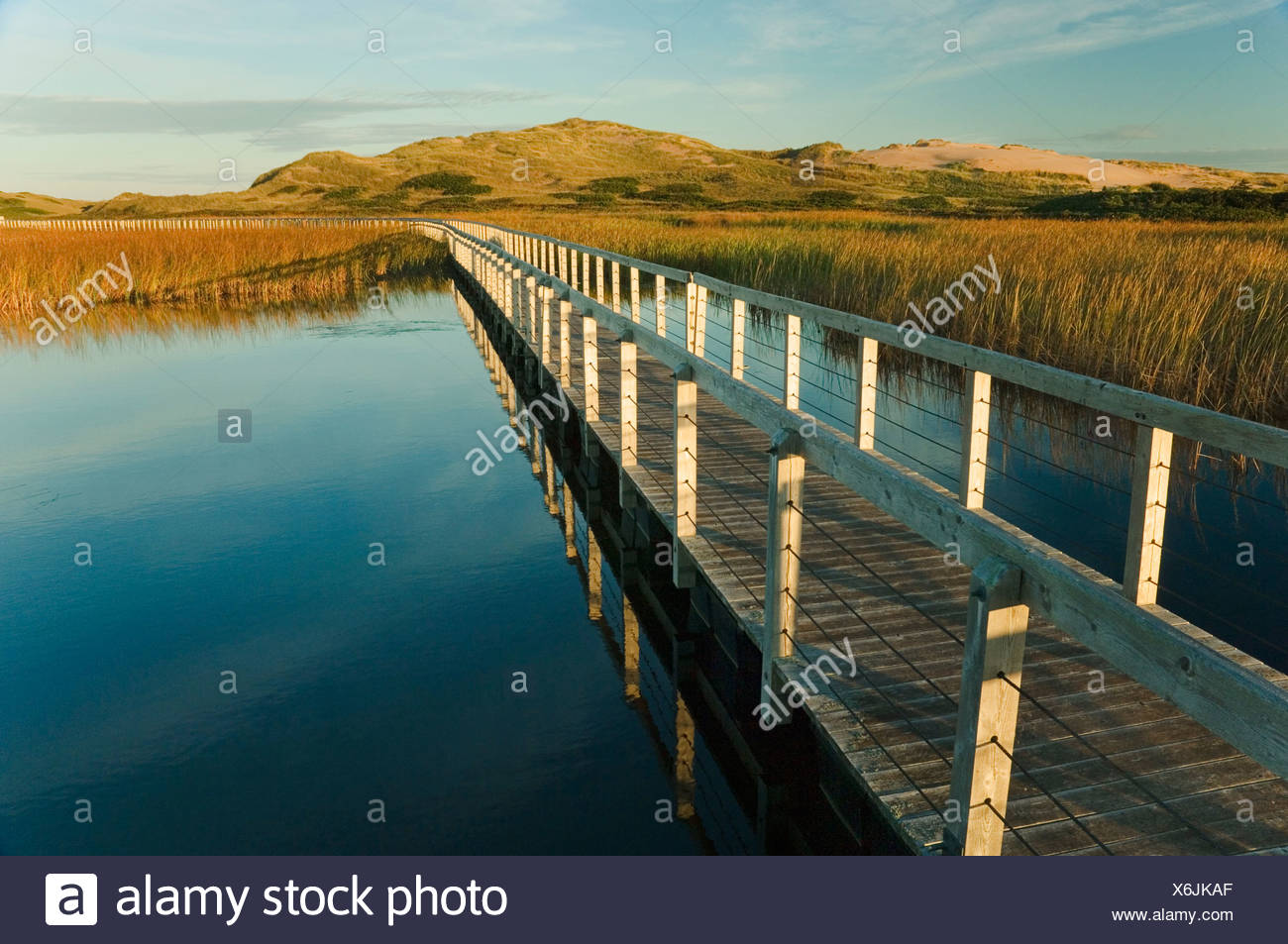 Bowley High Resolution Stock Photography and Images - Alamy