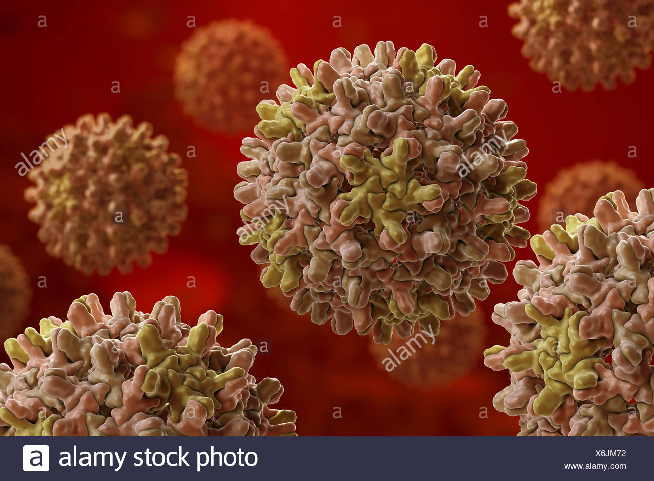 Hepadnaviridae High Resolution Stock Photography and Images - Alamy