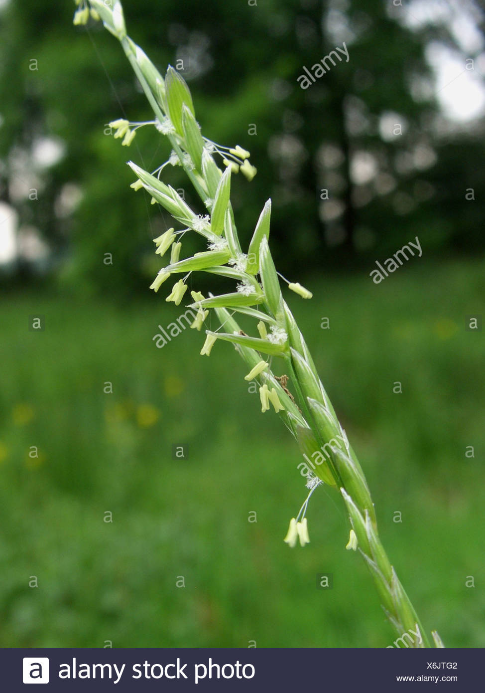 Floating A Jagel High Resolution Stock Photography and Images - Alamy