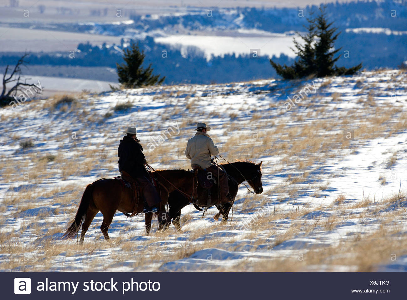 Cowboy On Horseback In Snow High Resolution Stock Photography and ...
