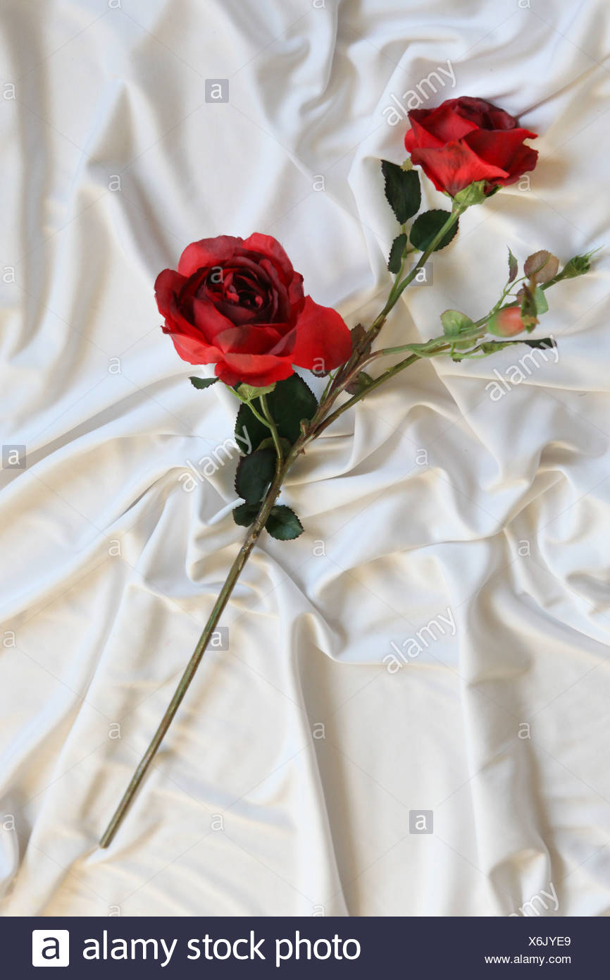 red and white silk flowers Cheaper Than Retail Price> Buy Clothing ...