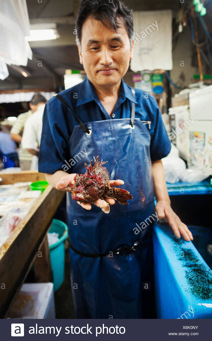 Japanese Lionfish High Resolution Stock Photography and Images - Alamy